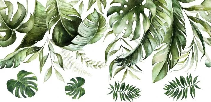 Nálepka na zeď do interiéru s motivem listů rostliny monstera 120 x 240 cm