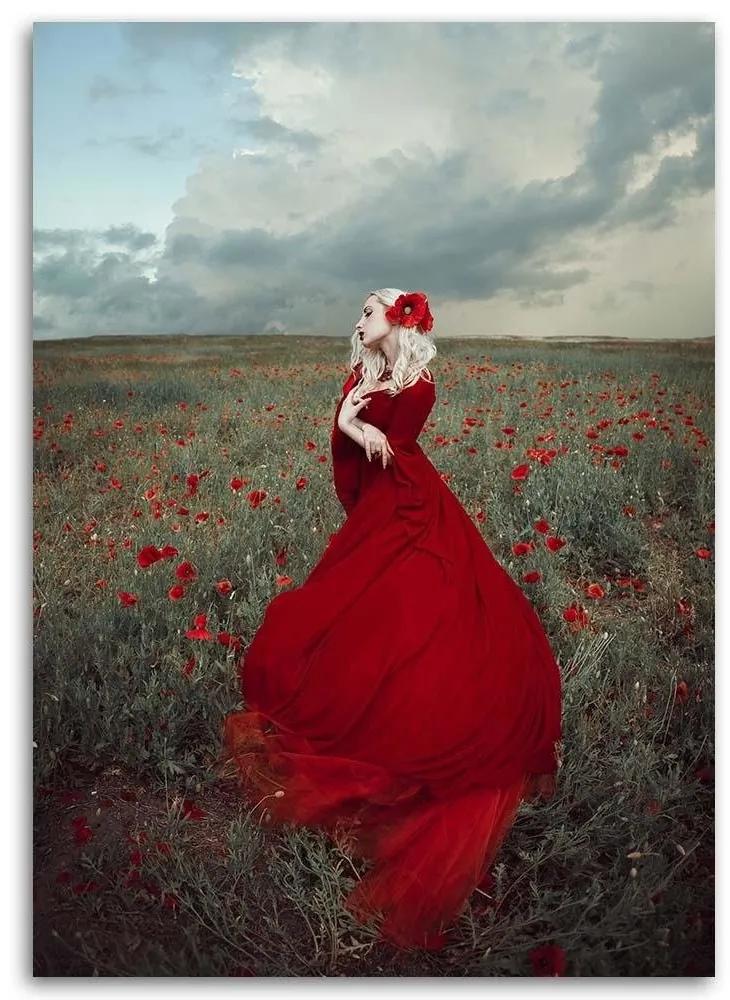 Gario Obraz na plátně Gotická dáma v červených šatech - Maryna Khomenko Rozměry: 40 x 60 cm