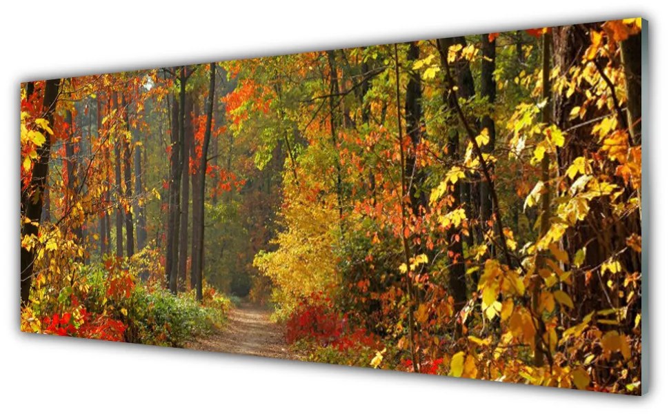 Plexisklo-obraz Les Příroda Podzim 125x50 cm
