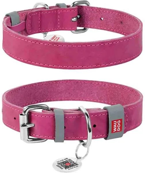 Obojek kůže 20mmx30-39cm WAUDOG růžový