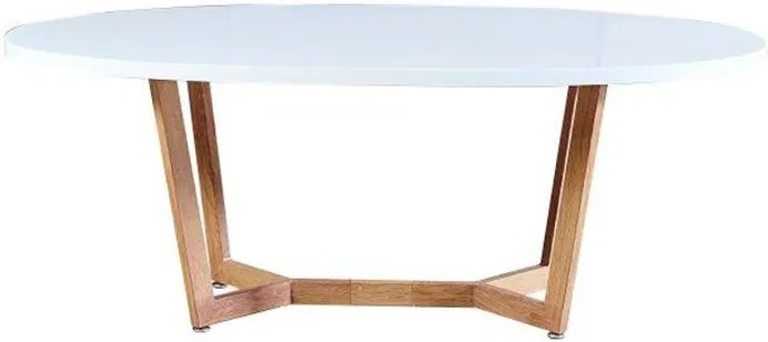Tempo Kondela, s.r.o. Konferenční stolek, bílá extra vysoký lesk HG / dub sonoma, GLOSY