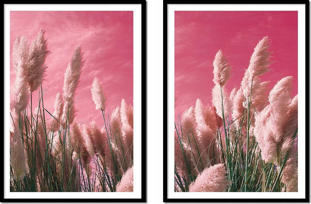 Obraz Plakáty V Rámu 53x73 cm Diptych Sada 2 obrazů Trávy Boho P2155