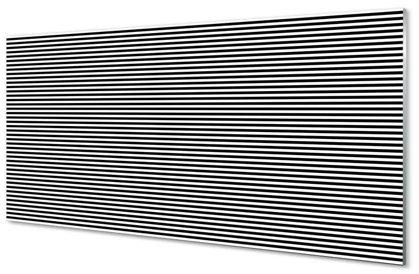 akrylový obraz zebra pruhy 140x70 cm