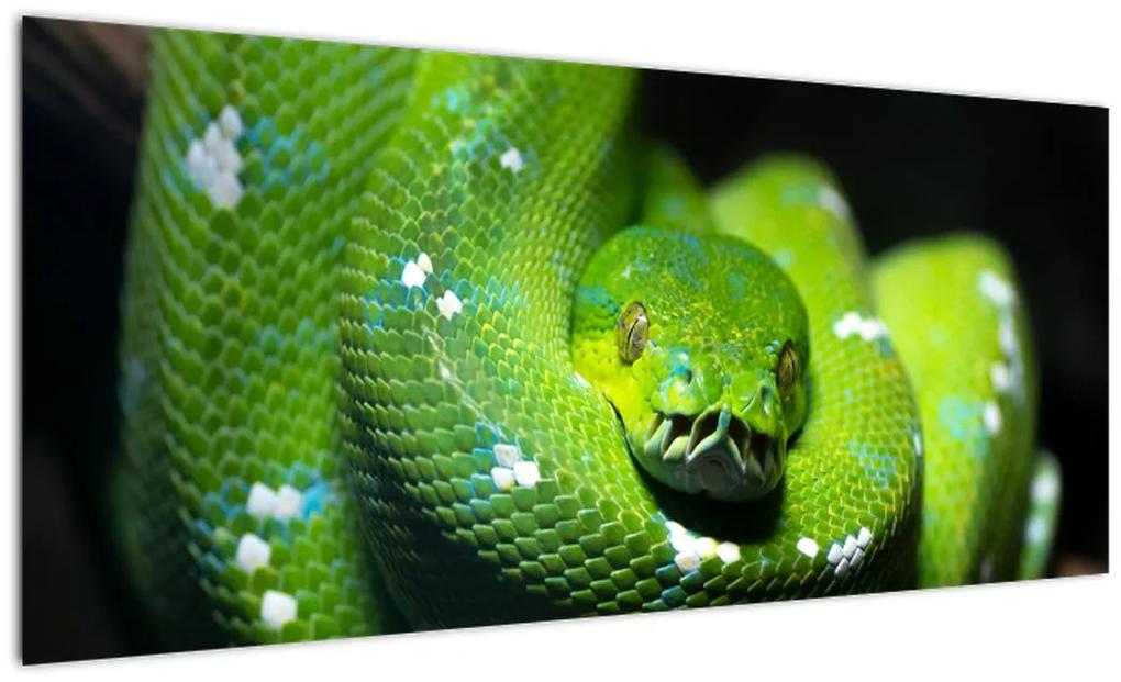 Obraz zvířat - had (100x40cm)