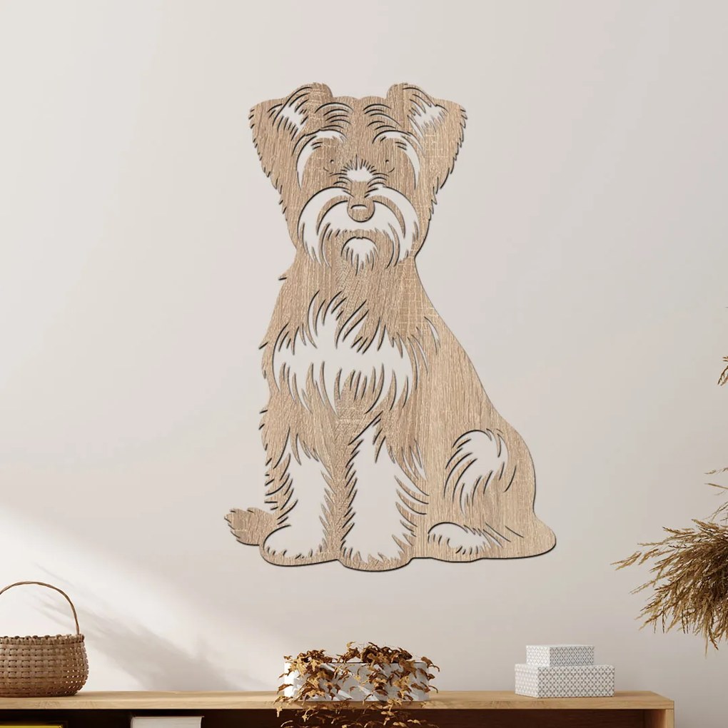 dřevo života Dřevěný obraz Dandie Dinmont Terrier Zvolte rozměr (cm): 54x80, Zvolte barvu dekoru: Černá