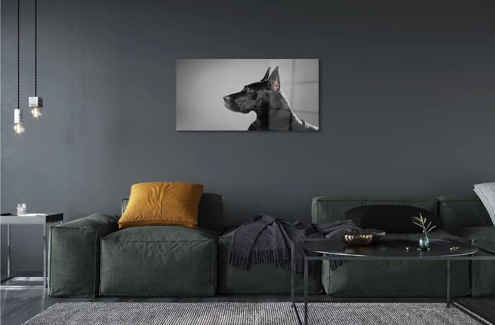 Obraz na skle Černý pes 100x50 cm