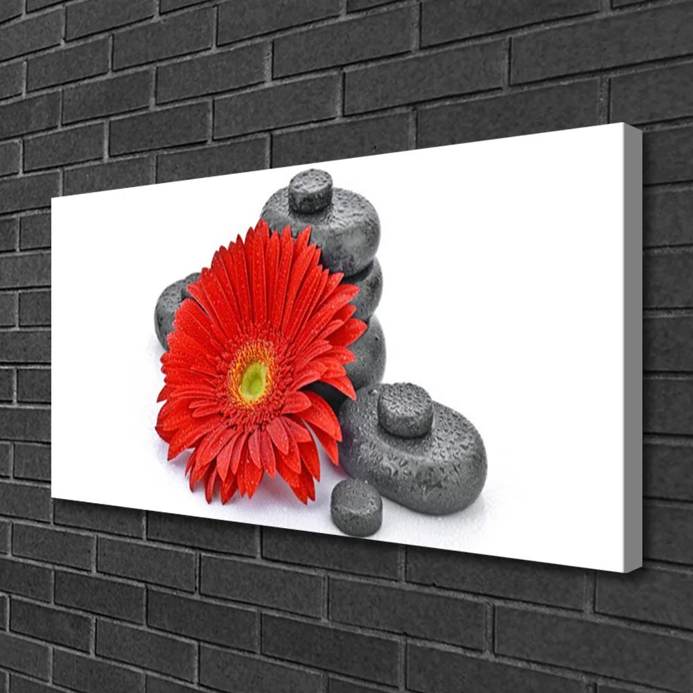 Obraz na plátně Květiny Gerbery Kameny Zen 100x50 cm