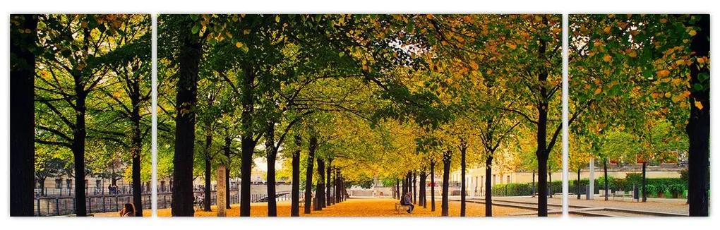 Obraz aleje podzimních stromů (170x50 cm)
