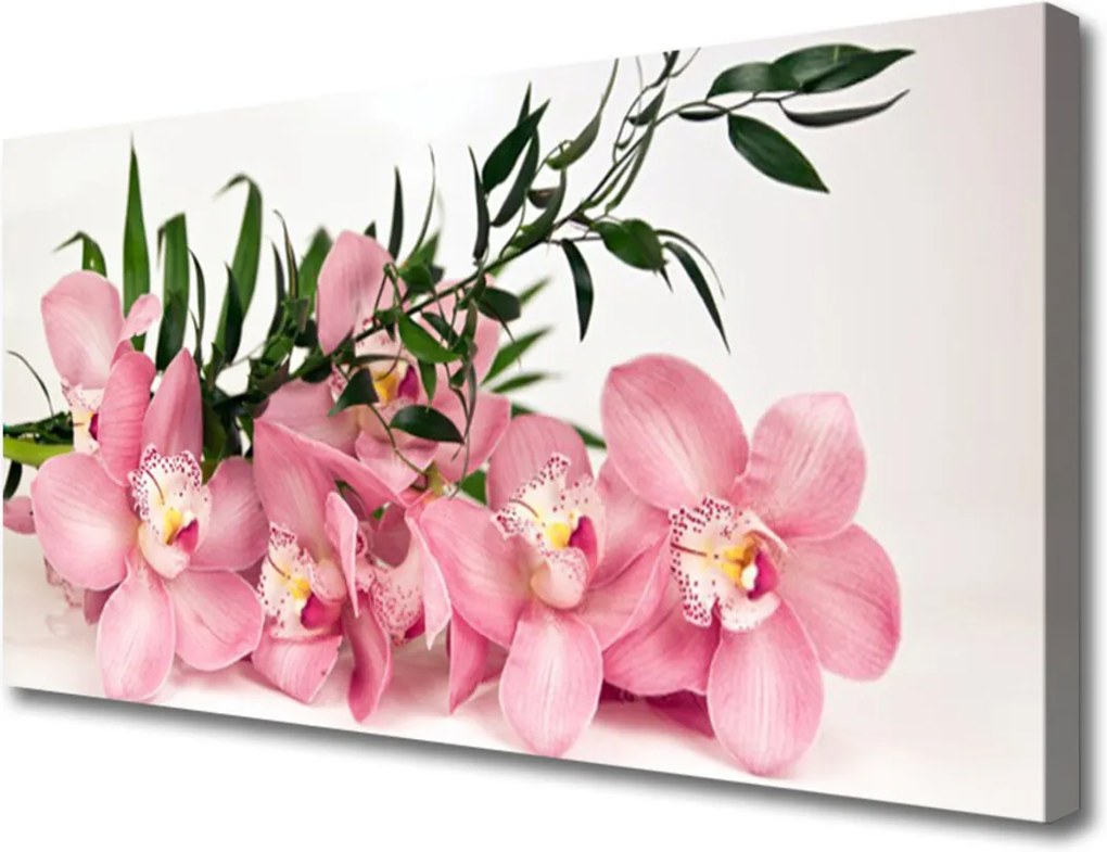 Obraz Canvas Orchidej Květiny Lázně