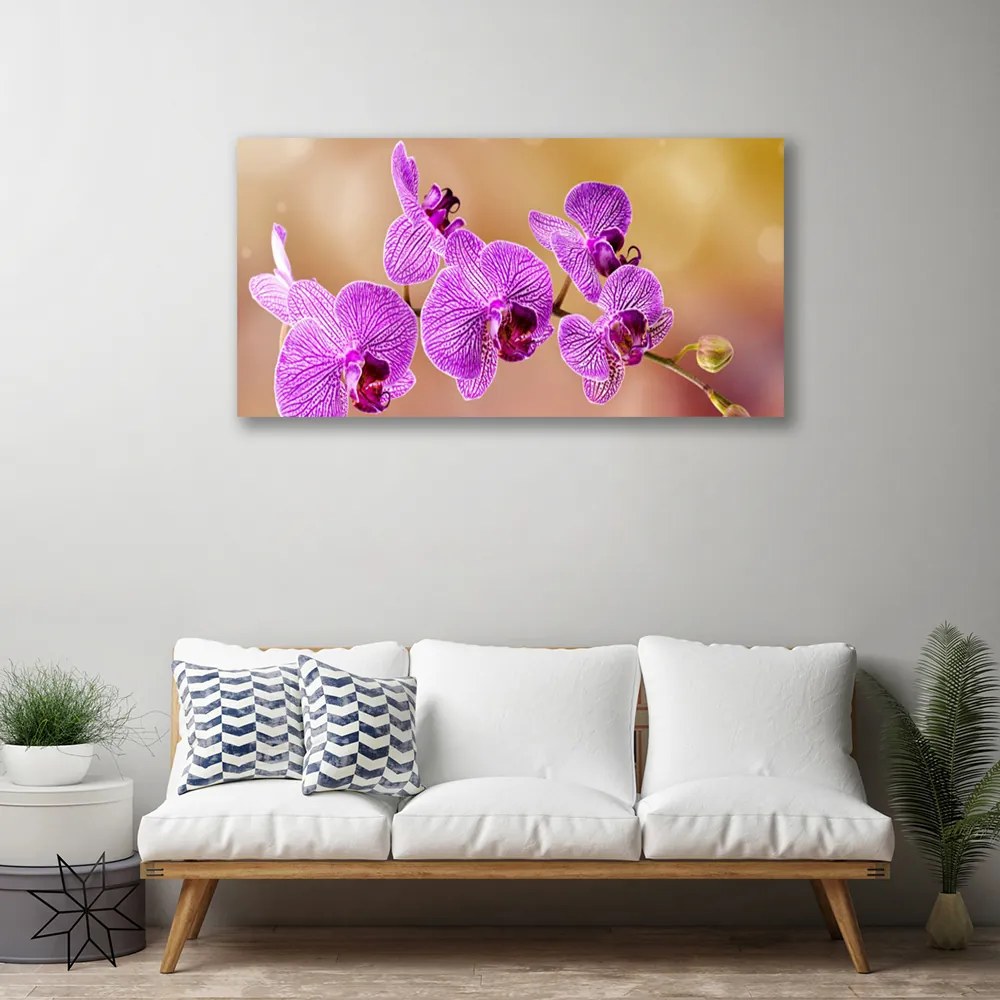 Obraz na plátně Orchidej Výhonky Květiny Příroda 125x50 cm