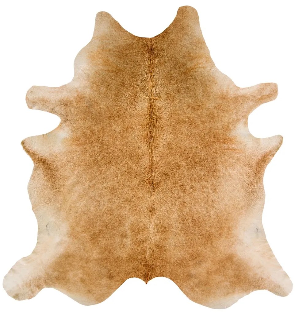 Béžový koberec Banshee Solid Beige Rozměry: 180x240 cm