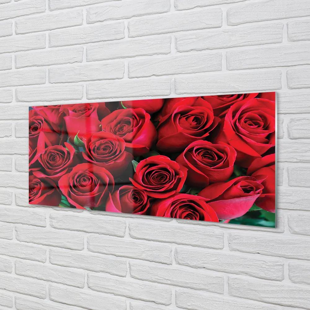 akrylový obraz Růže 120x60 cm