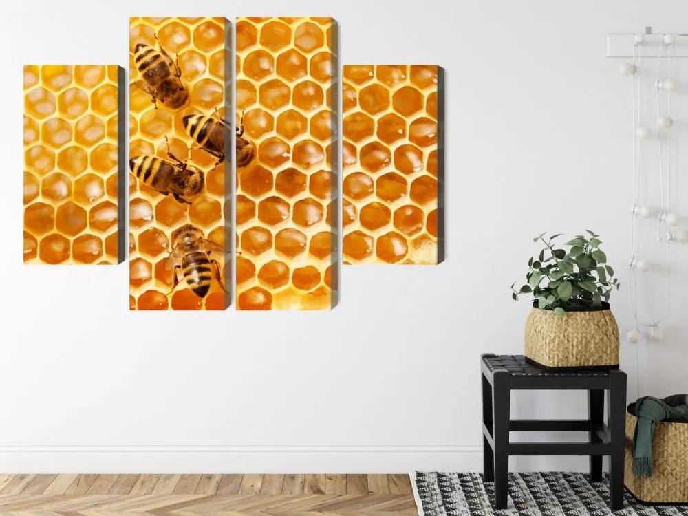 Vícedílný obraz Včely Na Plástev Nedostatek Nedostatek Plátno Canvas 80x60