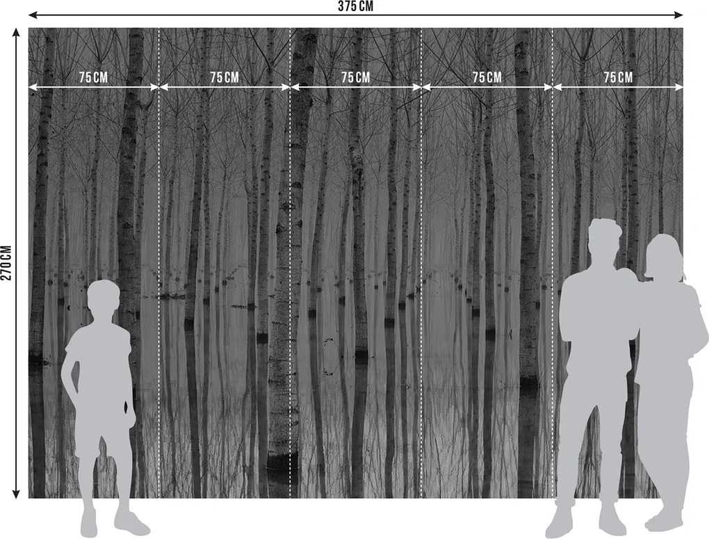 Fototapeta na míru Břízová Reflexe | Vliesová fototapeta na zed' | DFTNXXL3004