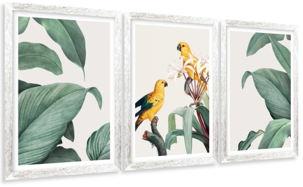 Gario Sada plakátů Papoušci a listy - 3 dílná Barva rámu: Rustikální, Rozměry: 99 x 45 cm