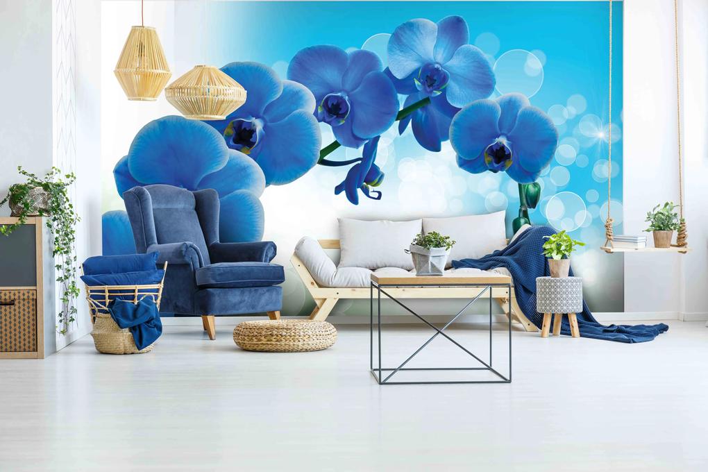 Malvis ® Tapeta Orchidej modrá Vel. (šířka x výška): 432 x 290 cm