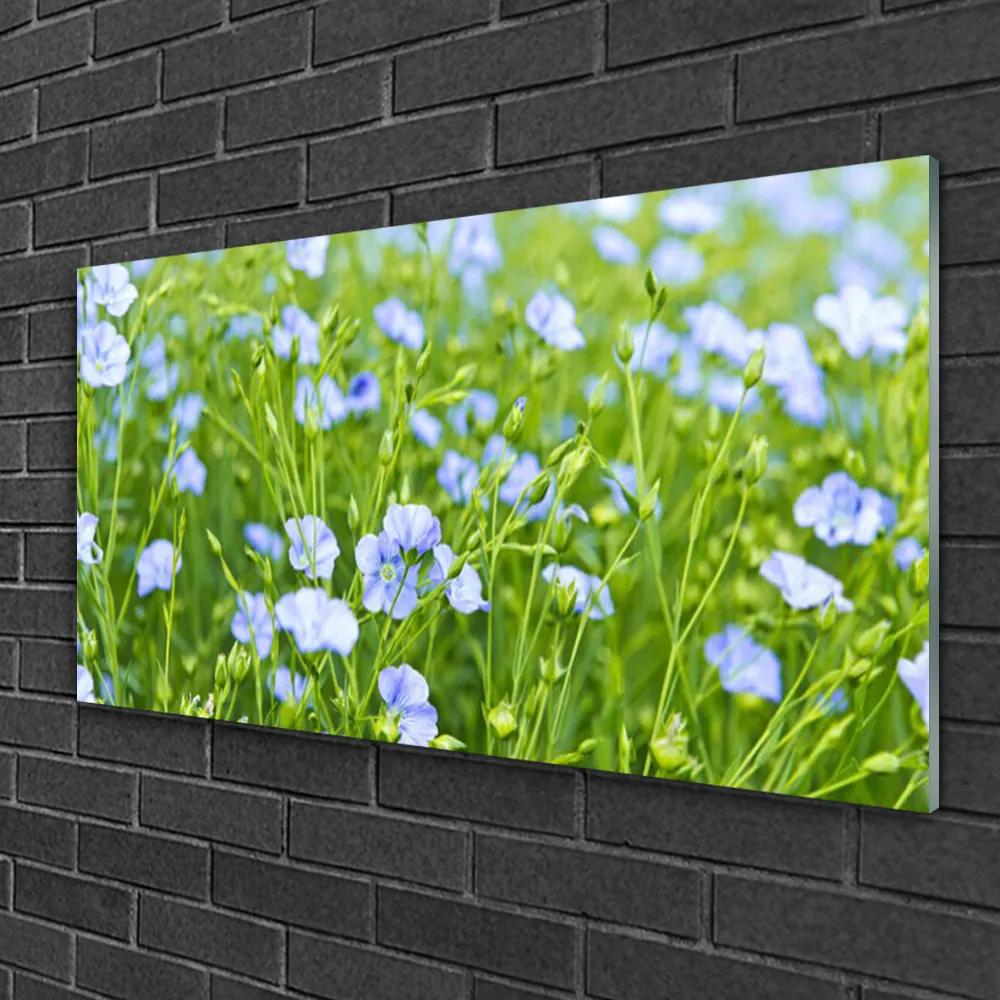 Obraz na skle Květiny Tráva Rostlina Příroda 125x50 cm