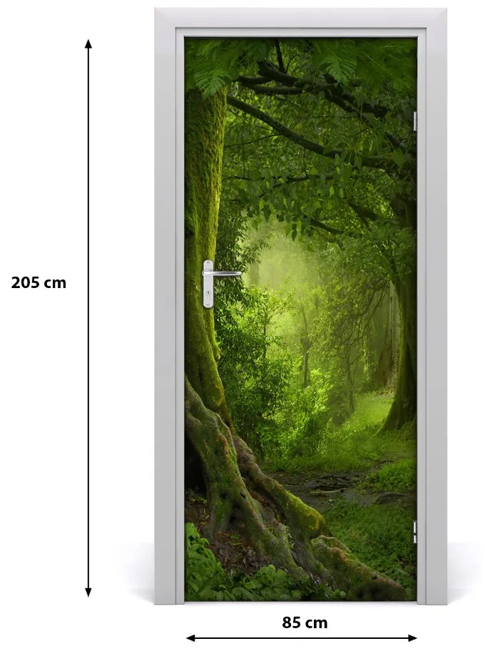 Fototapeta na dveře samolepící tripická džungle 85x205 cm