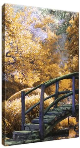 Obraz na plátně Zlatá Japonská zahrada 20x30cm 2548A_1S