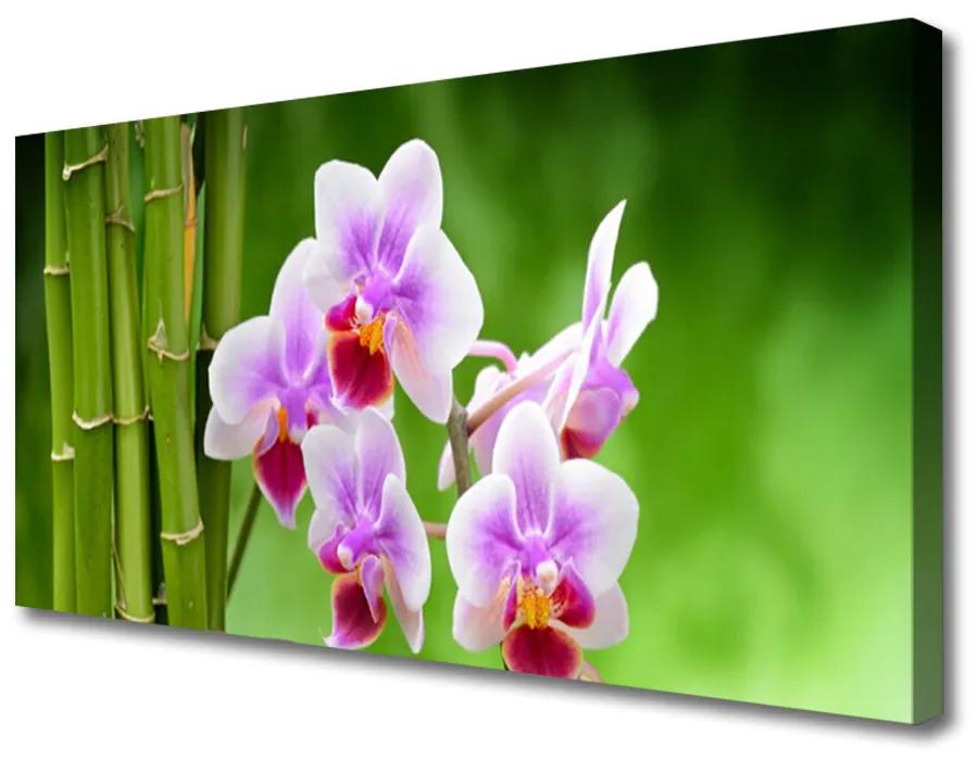 Obraz na plátně Bambus Orchidej Květiny Zen 120x60 cm