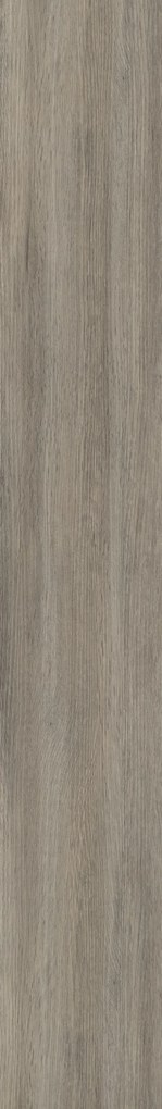 Oneflor Vinylová podlaha lepená ECO 30 068 Dockside Oak Natural  - dub - Lepená podlaha