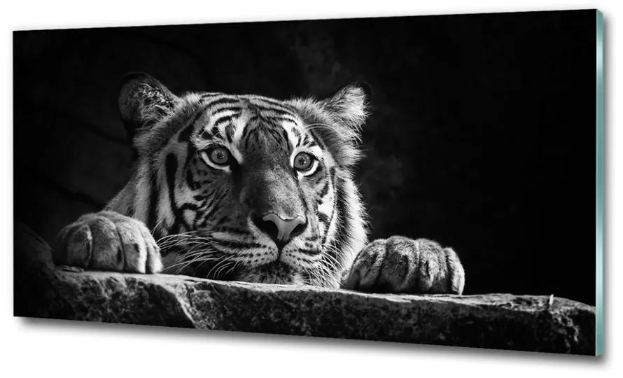 Wallmuralia Foto-obraz skleněný horizontální Tygr 100x50