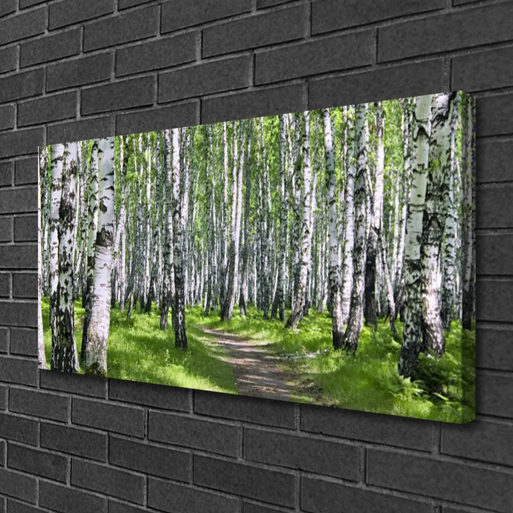 Obraz na plátně Les Stezka Příroda 125x50 cm