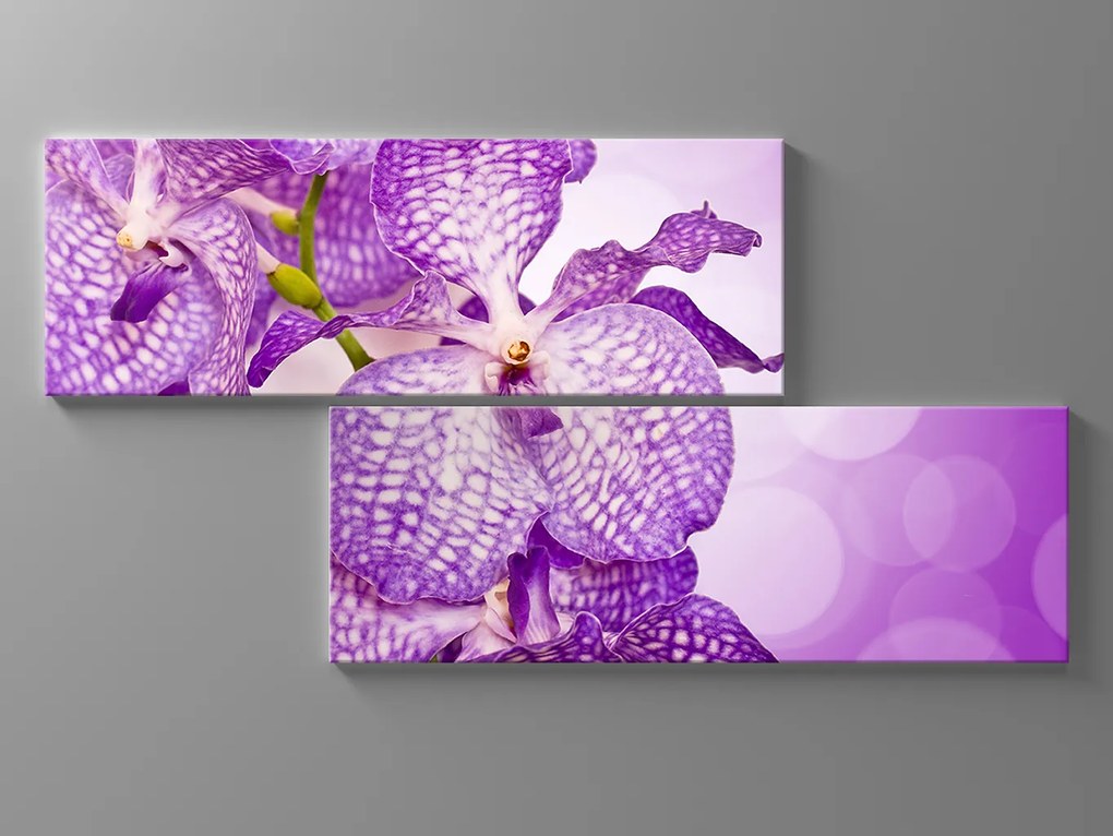 Obraz fialová orchidej Rozměr: 100 x 50 cm