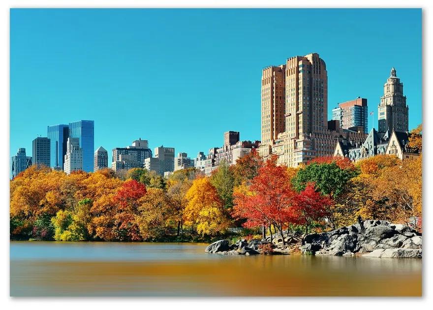 Wallmuralia Foto obraz akrylové sklo New York podzim 100x70