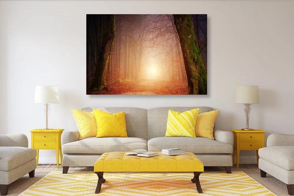 Obraz les v pohádkových barvách - 60x40 cm
