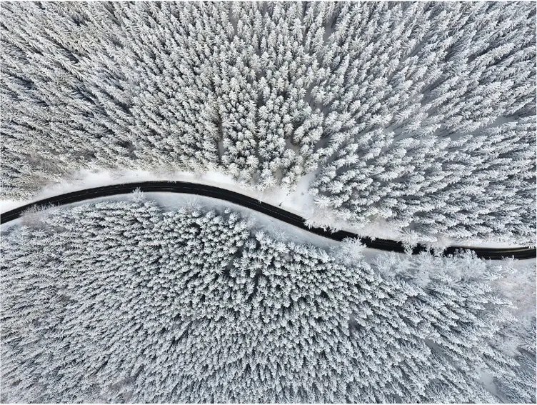 Tomáš Neuwirth | Mrazivá cesta Rám: Černý, Velikost: 20 x 30 cm