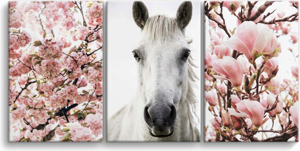 Obrazy na plátně Kůň Růžové květy Triptych na zeď do obývacího pokoje 60x120