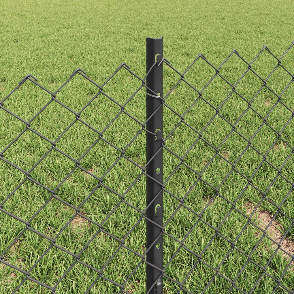 Plot s řetězovým odkazem a sloupkem 10 x 0,4 m Šedá Síťovina 3336257
