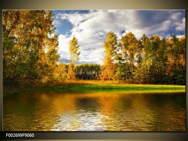 Obraz na plátně Podzimní krajina, Obdélník 90x60cm 1520 Kč