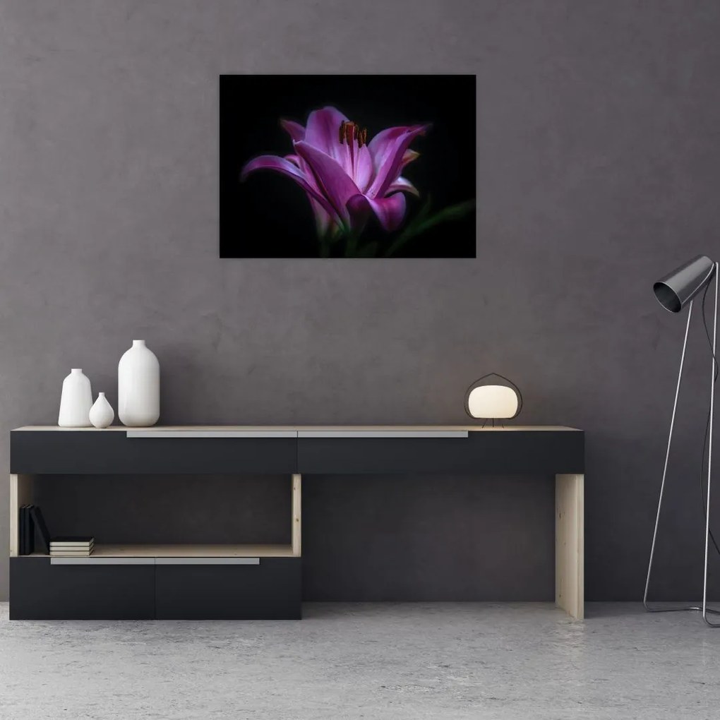 Skleněný obraz lilie (70x50 cm)