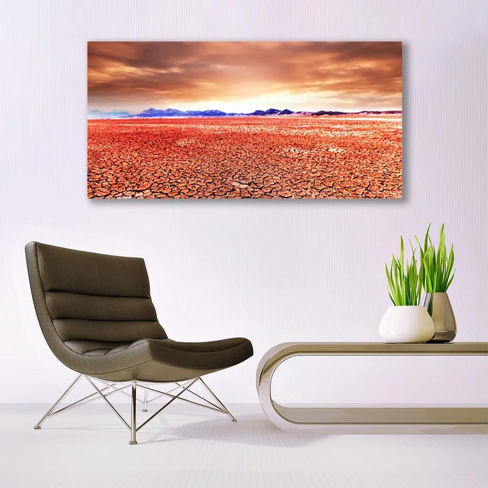 akrylový obraz Poušť Krajina 120x60 cm
