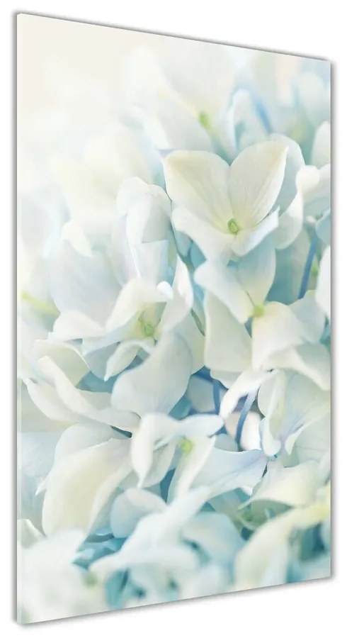 Wallmuralia Foto obraz akrylové sklo Květ hortensie 60x120 cm
