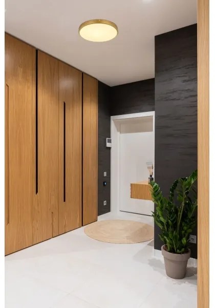 Globo 12381-22 - LED Stropní svítidlo TIBEY LED/22W/230V pr. 35 cm