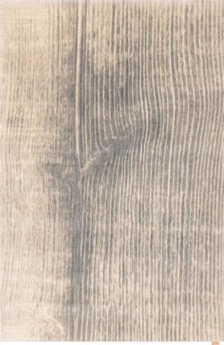 Koberec Agnella Calisia Pinus béžový