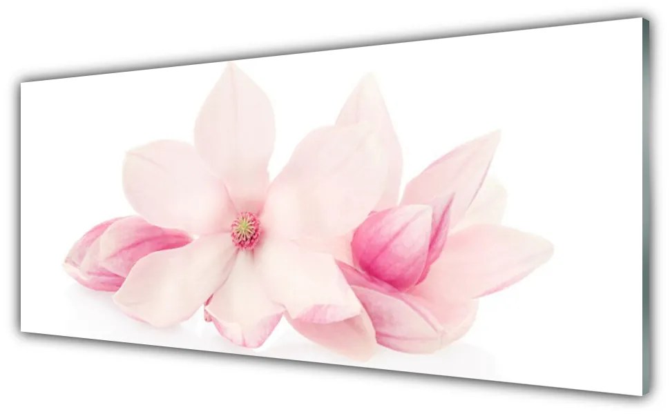 Plexisklo-obraz Květiny Plátky Rostlina Příroda 125x50 cm