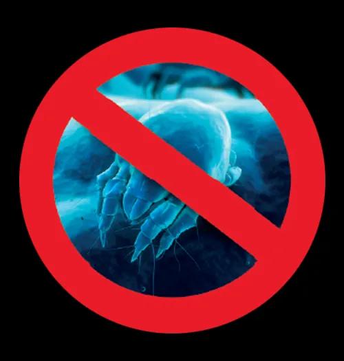 ŘEŠETO Antibakteriální krycí matrace BLUE TOPPER Rozměr: 100x200