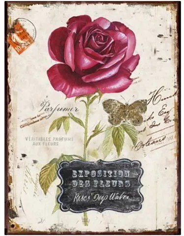 Obraz Růže