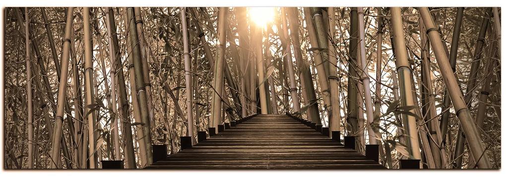 Obraz na plátně - Dřevěná promenáda v bambusovém lese - panoráma 5172FA (105x35 cm)