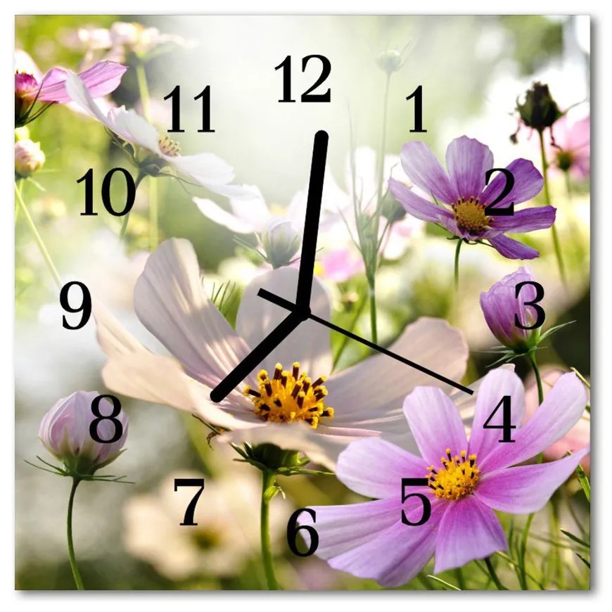 Skleněné hodiny čtvercové Květiny Cosmos 30x30 cm