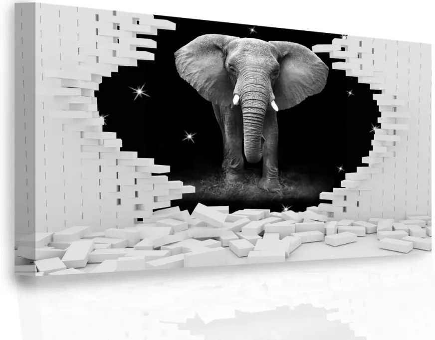 Obraz na stěnu - slon (90x60 cm) - InSmile ®