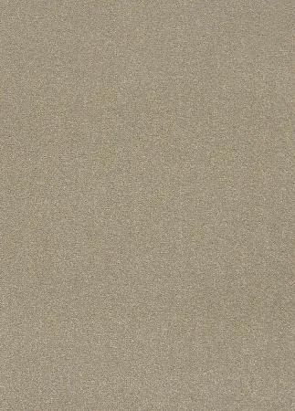 Koberce Breno Metrážový koberec REVOLUTION SUPREME 91, šíře role 400 cm, Béžová