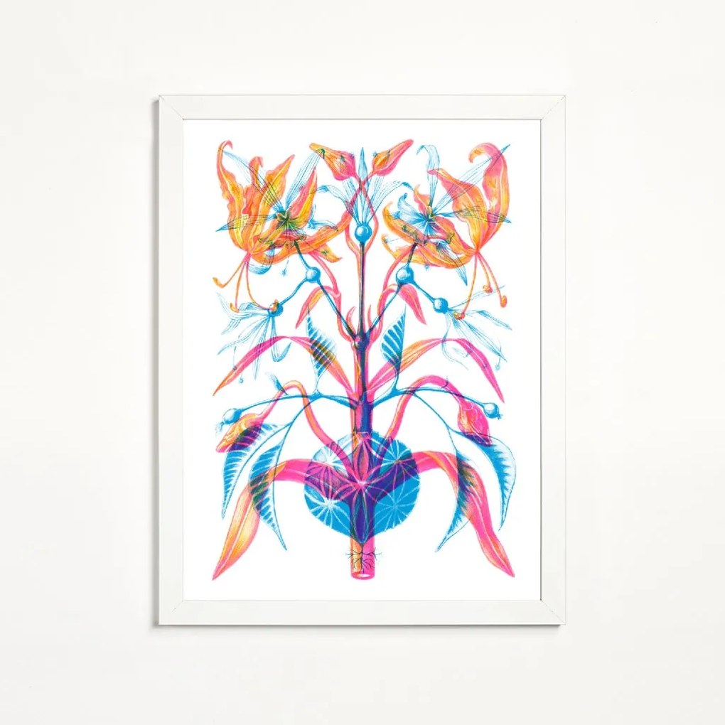 Filip Šenkeřík | Hybrid II – Lilencyclia Liliaceum Rám: Bílý, Velikost: 40 x 30 cm