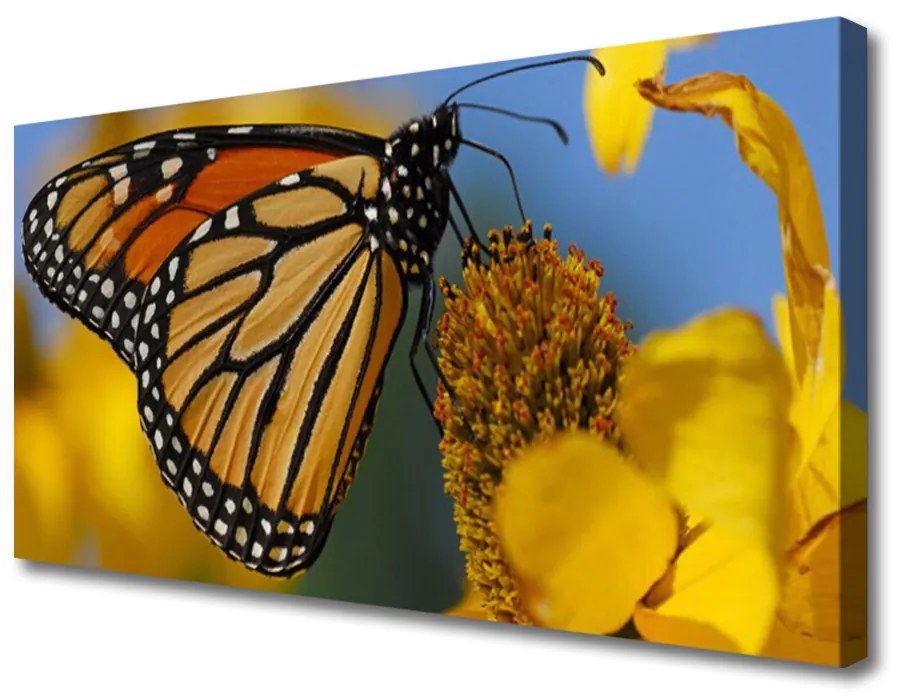 Obraz na plátně Motýl Květ Příroda 125x50 cm