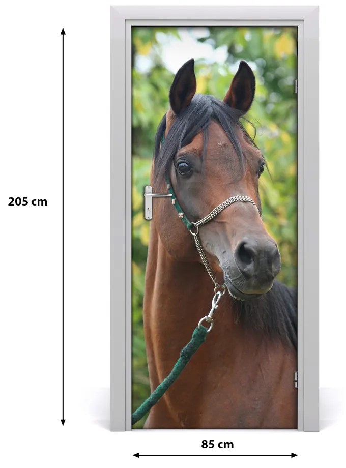 Samolepící fototapeta na dveře Kůň portrét 85x205 cm