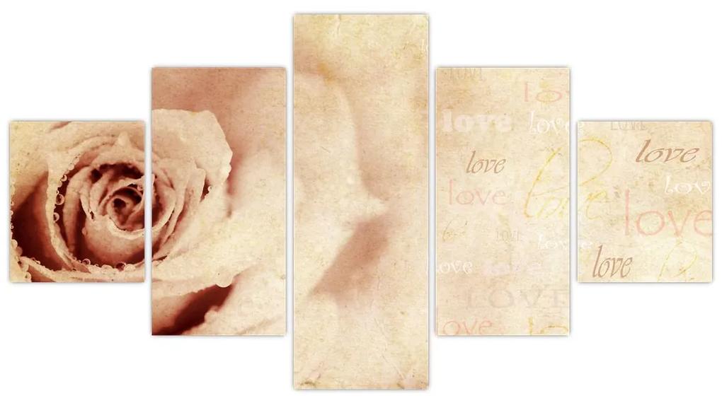 Obraz - Květ růže pro zamilované (125x70 cm)